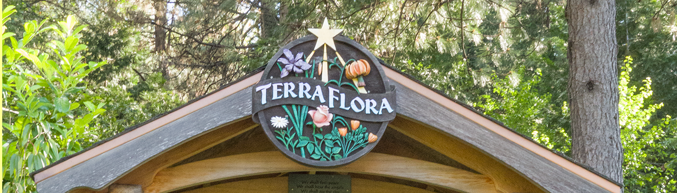 Terra Flora Videos | Flower Essence Society