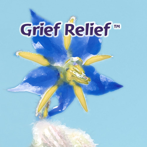 Grief Relief | Flower Essence Services